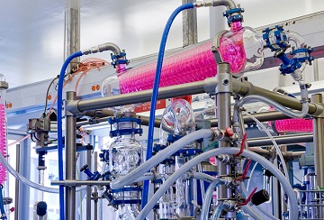 The Evolution of Biotechnology